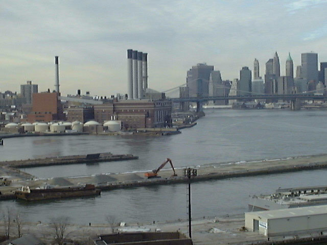 (Lost Media) Every frame I could find from Wolfgang Staehle's webcam ...